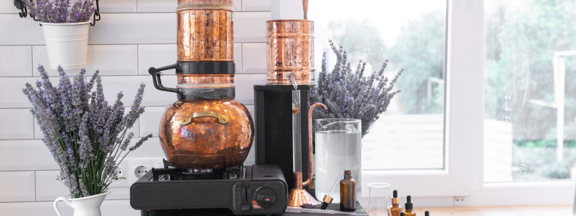 Die 9 wichtigsten Hydrolate für die Hausapotheke